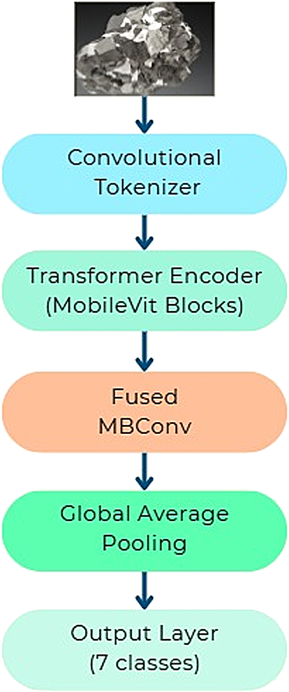 Conv_MobileViT-XS: hybrid convolutional fused mobile friendly vision ...