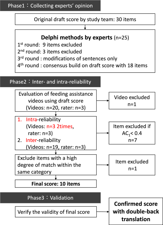 Feeding Assistance Skill Score: development and verification of ...