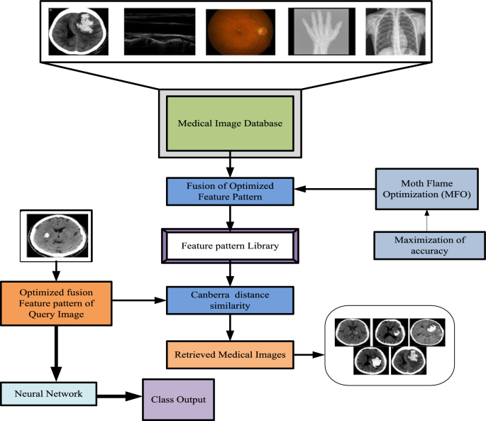 Fusion of optimized feature descriptors for medical image retrieval and ...