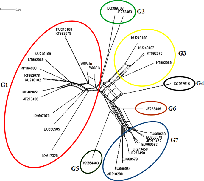 Genome sequence analysis of two recombinant isolates of watermelon ...