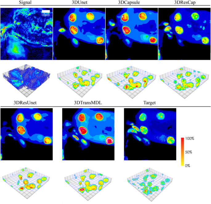 Reconstructing 3D Biomedical Architectural Order at Multiple Spatial Scales with Multimodal ...