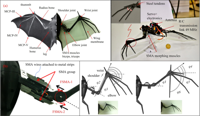 Publisher Erratum: Progress in Bionic Deformable Wing of Aircraft ...