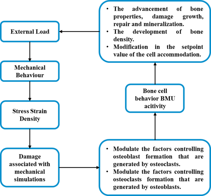 Exploration of Multiscale Modeling on Functionally Graded Materials in ...