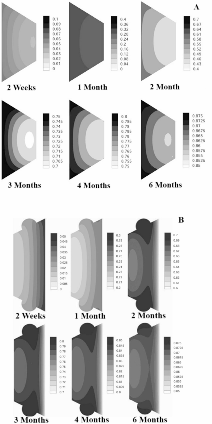 Exploration of Multiscale Modeling on Functionally Graded Materials in ...
