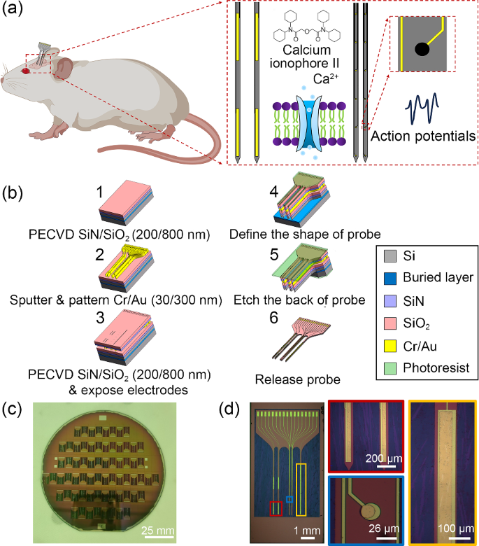Implantable probe with integrated reference electrode for in situ ...