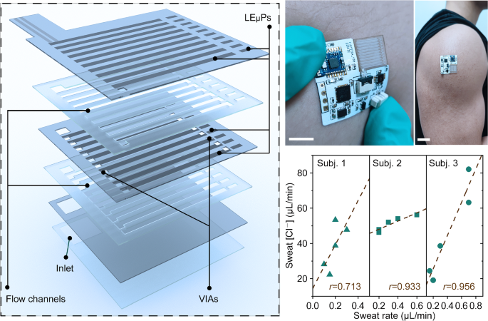 A crosstalk-free dual-mode sweat sensing system for naked-eye sweat ...
