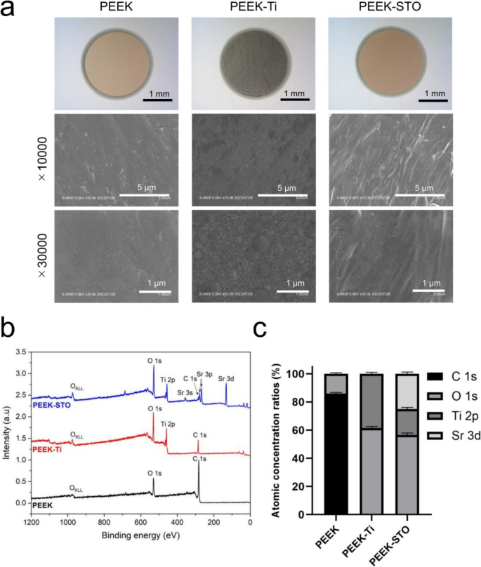 Comparing the osteogenic effects of sputtered titanium- and strontium ...