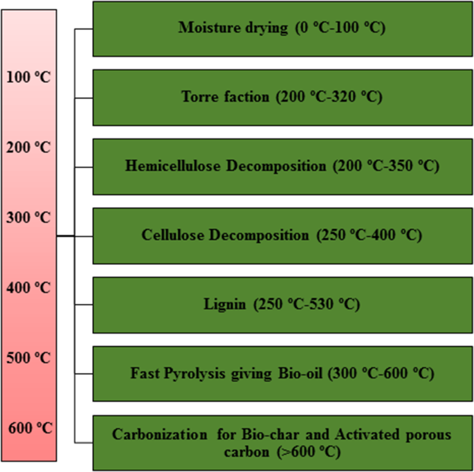 Innovations in Biomass-Derived Materials for Efficient CO₂ ...