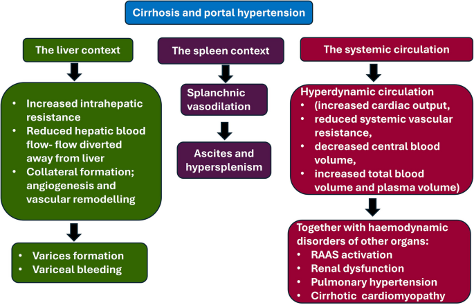 Portal Hypertension Ascites Mechanism