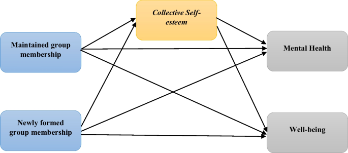 Understanding Retirement Adjustment in Indian Veterans: Collective Self ...