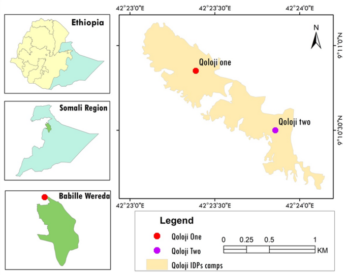 Socio-economic Challenges and Opportunities Facing Internally Displaced ...