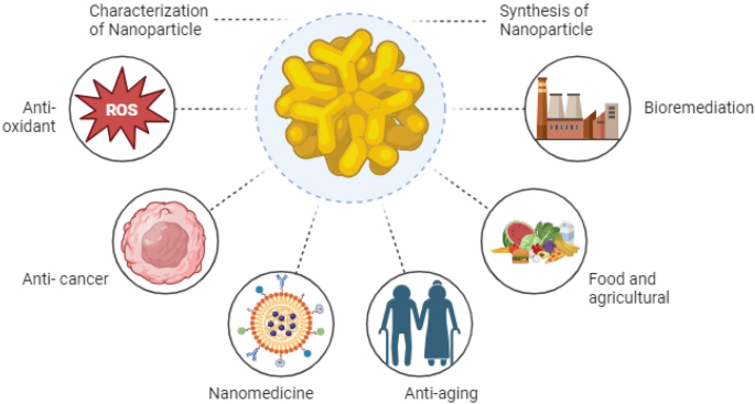 A critical review of various synthesis methods of nanoparticles and ...