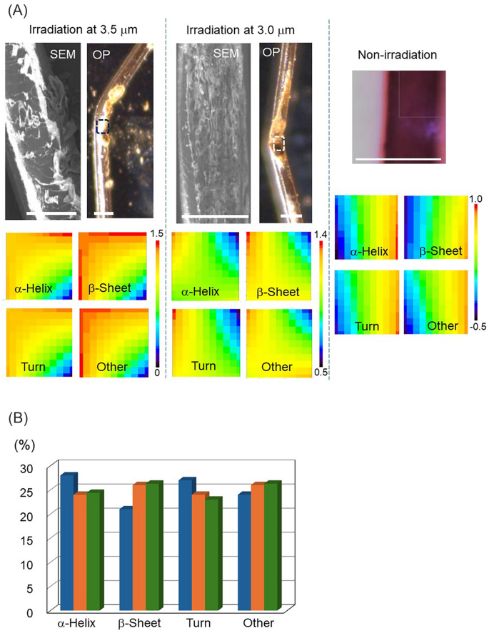Investigating structural property of human hair by using infrared free ...
