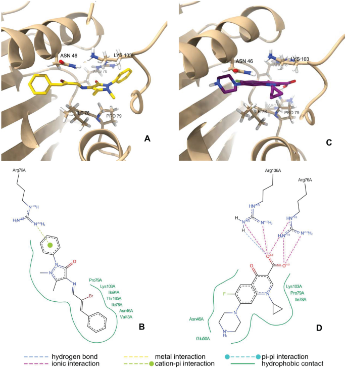 Experimental and computational studies of Schiff bases derived from 4 ...
