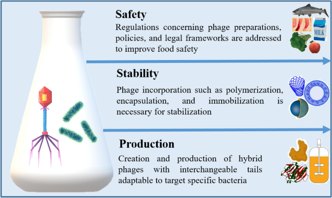 Integrating phage biocontrol in food production: industrial ...