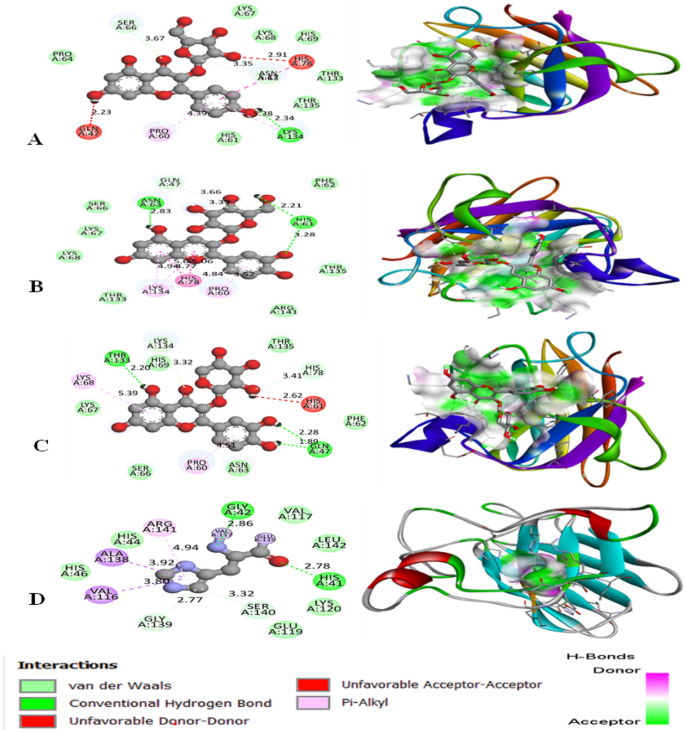 Molecular docking and ADMET analysis of bioactive compounds from ...