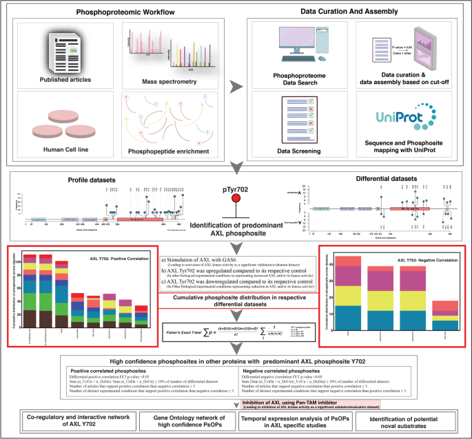 Elucidating the phosphoregulatory network of predominant phosphosite in ...