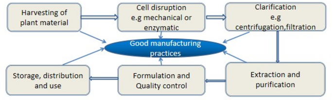 Plant molecular pharming in Africa for sustainable health and economic ...