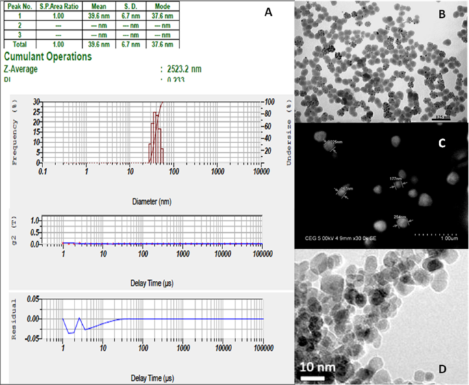 Synthesis of Musa acuminata nanofertilizer and its impact on ...