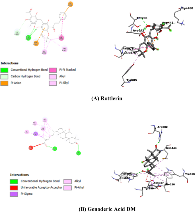 Identification of Homotrigona apicalis propolis compounds as α ...
