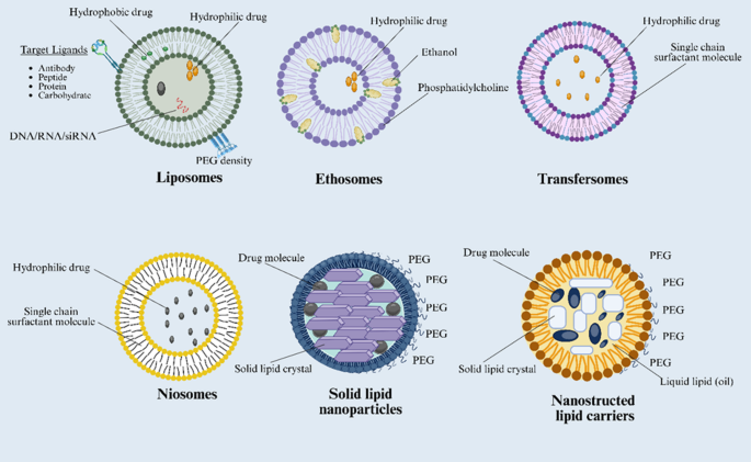 Different preparation and characterization techniques of lipid ...