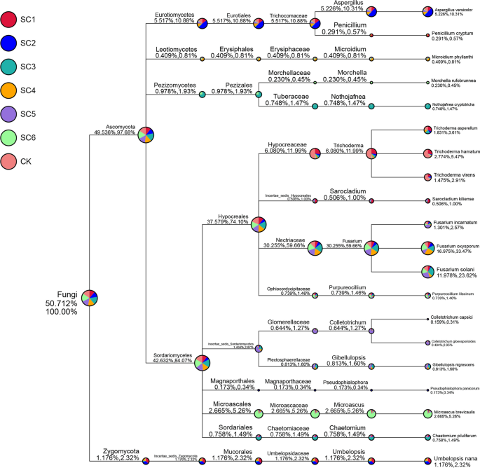 Sod Culture Treatments Positively Affect Soil Fungal Diversity, Soil ...