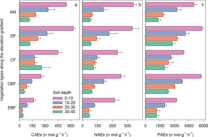 Soil Available Phosphorus Mediated Microbial Enzyme Activities along ...