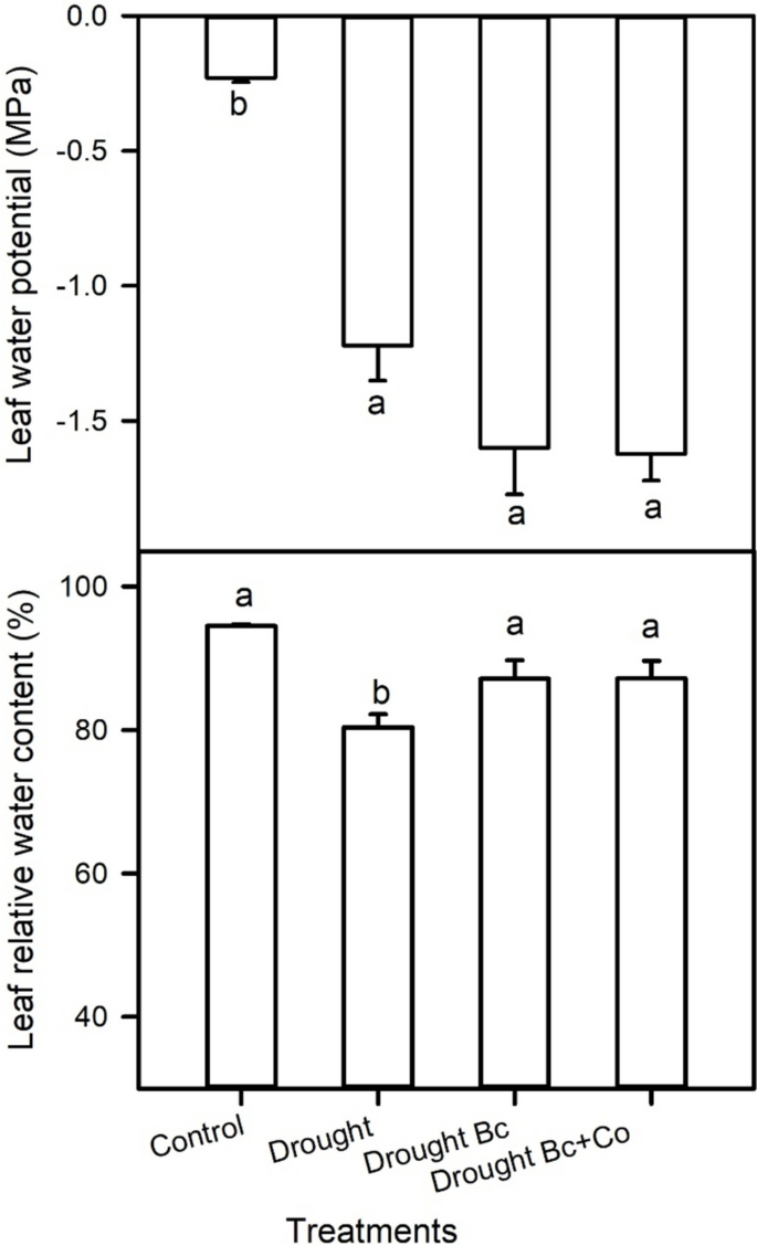 Biochar Outperforms Biochar-Compost Mix in Stimulating Ecophysiological ...
