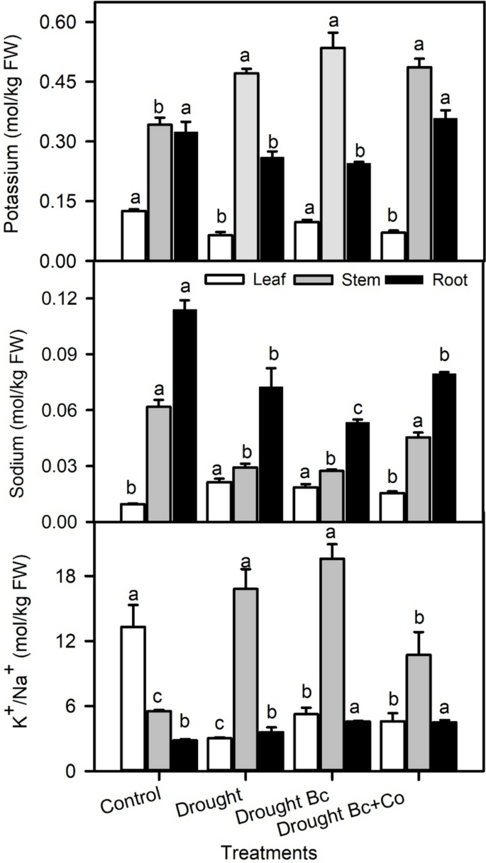 Biochar Outperforms Biochar-Compost Mix in Stimulating Ecophysiological ...