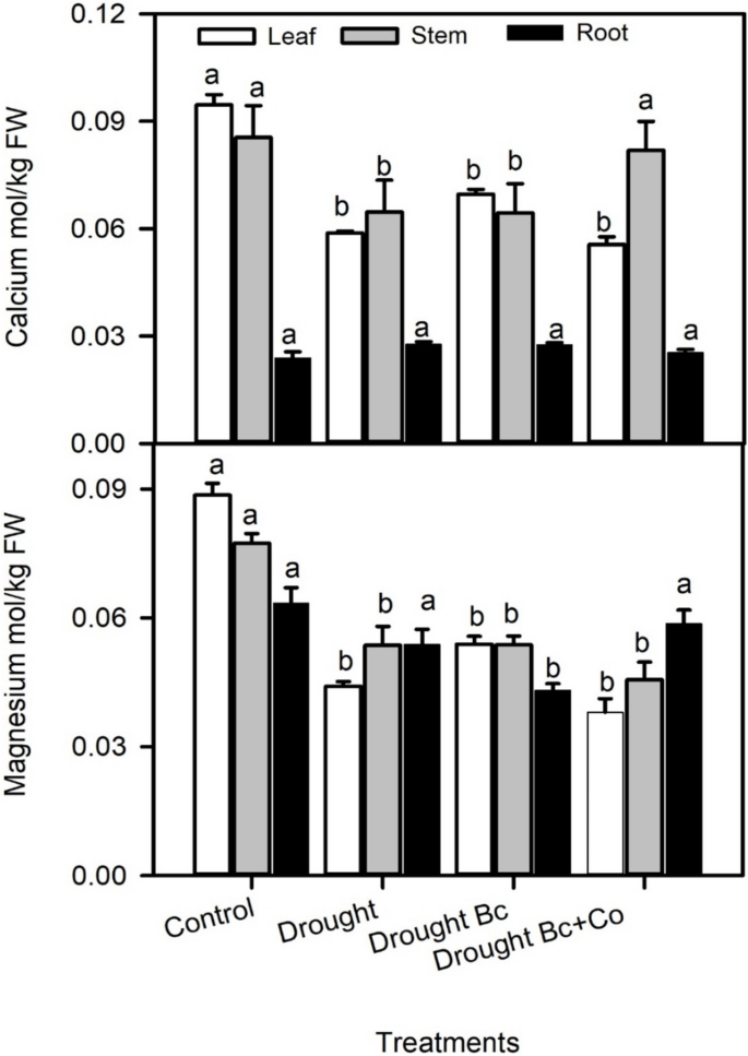 Biochar Outperforms Biochar-Compost Mix in Stimulating Ecophysiological ...