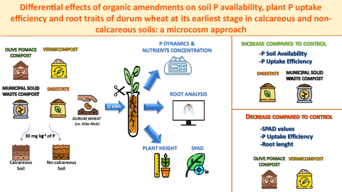 Differential Effects of Organic Amendments on Soil P Availability ...