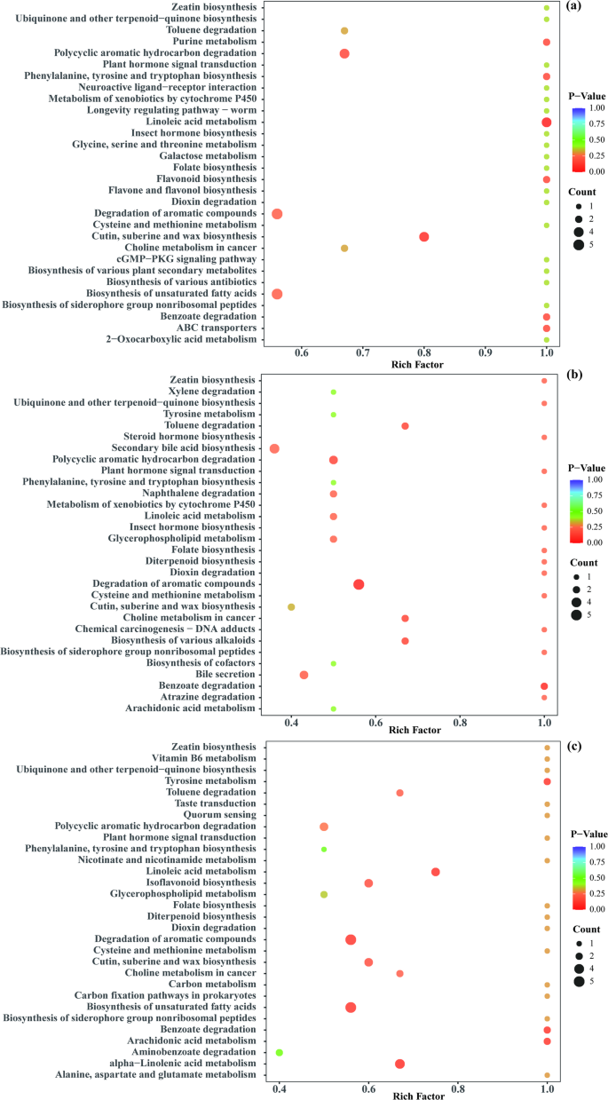Microbiome and Metabolomics Analysis Reveal the Interaction between ...