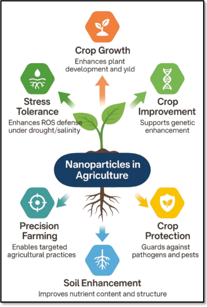 Nanoparticles as Biostimulants in Organic Farming: Advancing ...