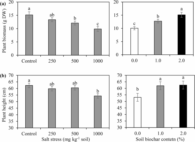 Biochar Mitigates Salinity Stress in Almond Rootstocks: Insights into ...