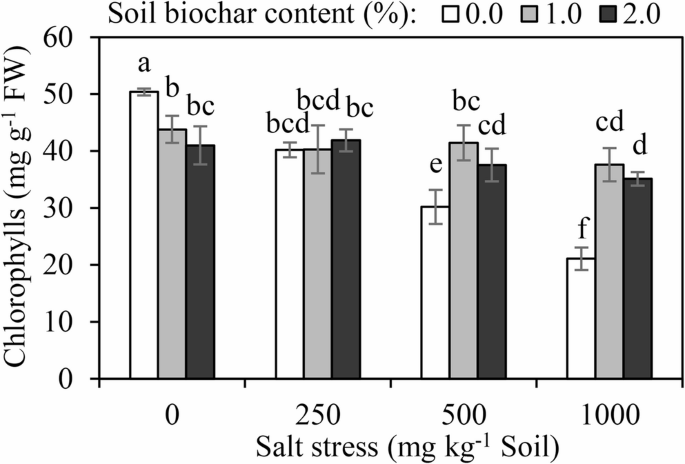 Biochar Mitigates Salinity Stress in Almond Rootstocks: Insights into ...