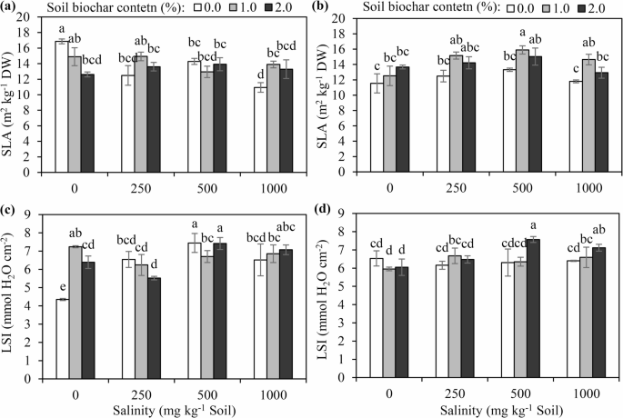 Biochar Mitigates Salinity Stress in Almond Rootstocks: Insights into ...