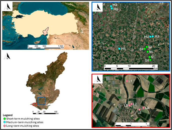 Microplastic Accumulation and Soil Quality Changes Under Varying ...