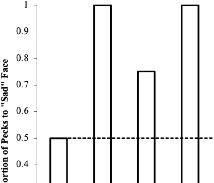 Emotion Labeling in Pigeons | Affective Science