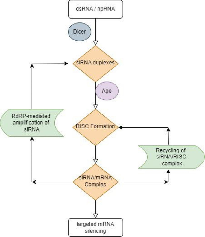 Gene silencing by RNA interference: a review | Genome Instability & Disease