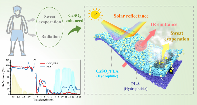 Advanced Janus Membrane with Directional Sweat Transport and Integrated ...