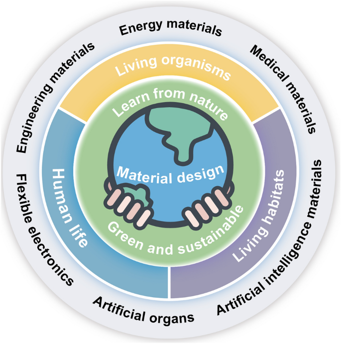 Nature-Inspired Design of Functional Materials: Learning from Living ...