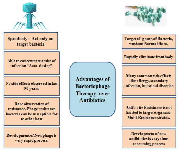 Bacteriophage therapy- a refurbished age-old potential strategy to ...