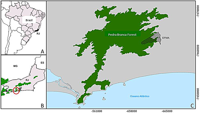 Investigation of Rabies virus in wild mammals of the atlantic forest in ...