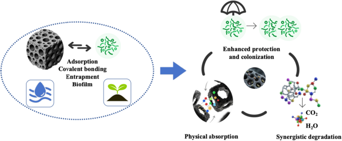 Biochar-supported microbial systems: a strategy for remediation of persistent organic pollutants ...