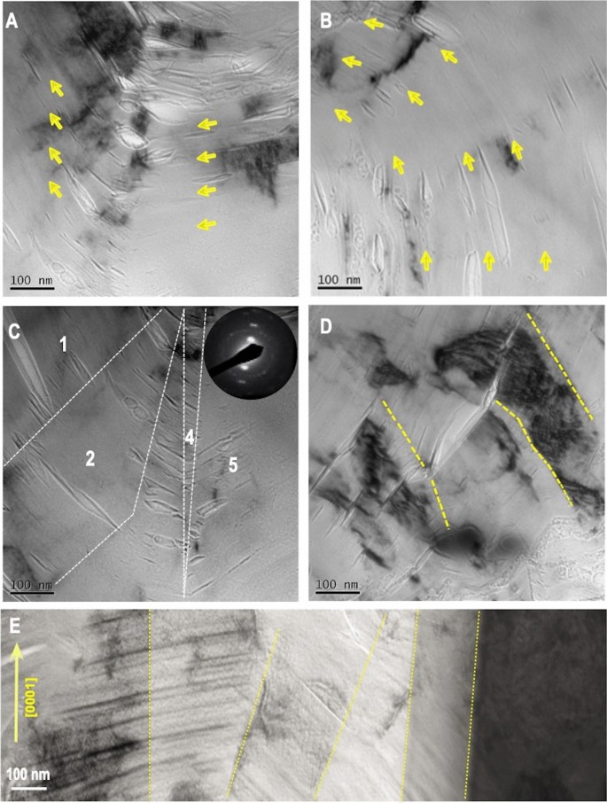 Nuclear reactor graphite under irradiation: insights on microstructural ...