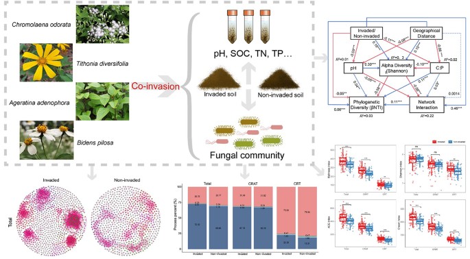 Distinct responses of abundant and rare soil fungal communities to ...