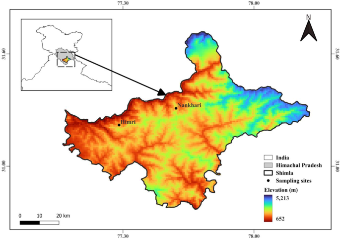 Spatial distribution of ants in mixed temperate forest with endangered ...