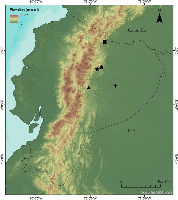 Diversity of amphibians and squamate reptiles in the upper Napo River ...