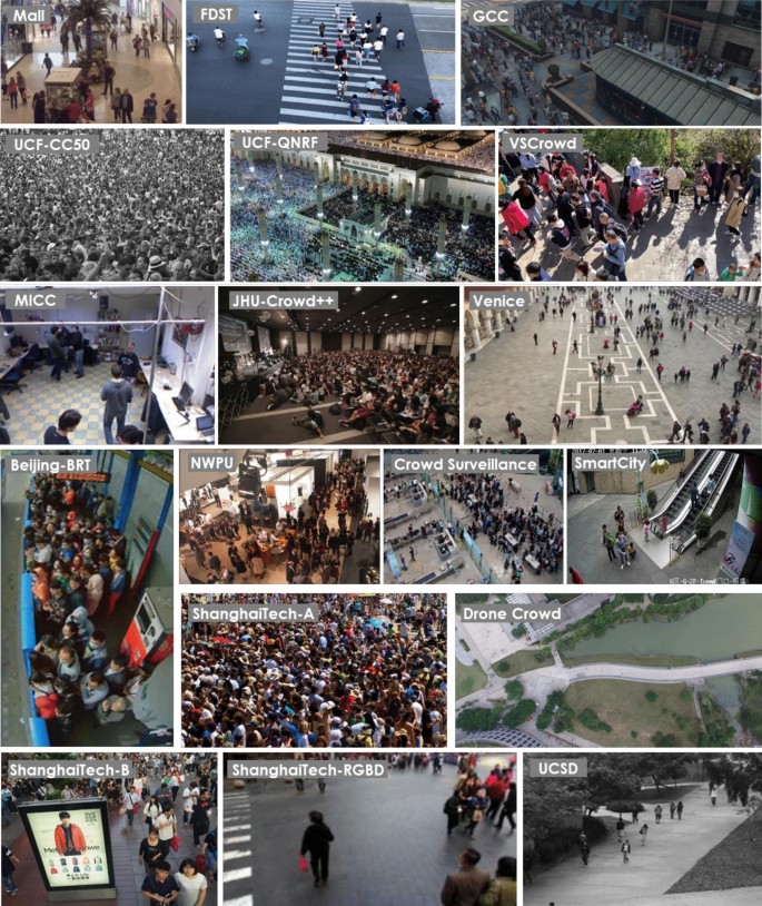 Optimizing Crowd Counting in Dense Environments Through Curriculum Learning Training Strategy ...