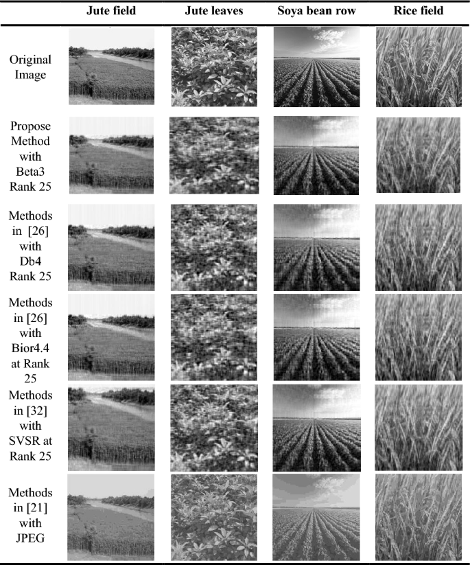 Beta Function Based Compression Method for Crop Image Using Singular Vector Sparse ...
